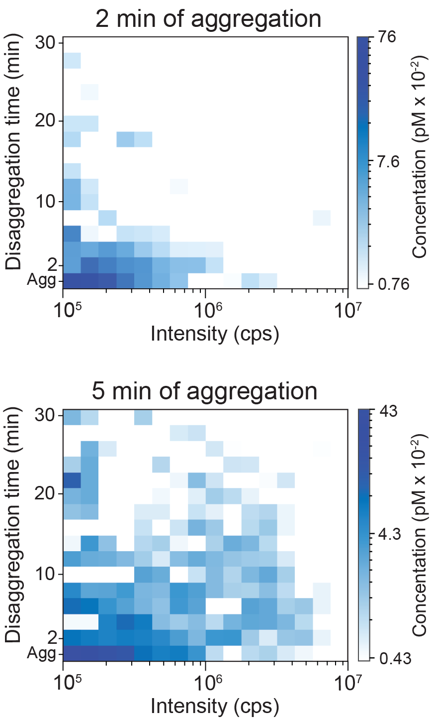 Protein disaggregation by molecular chaperones